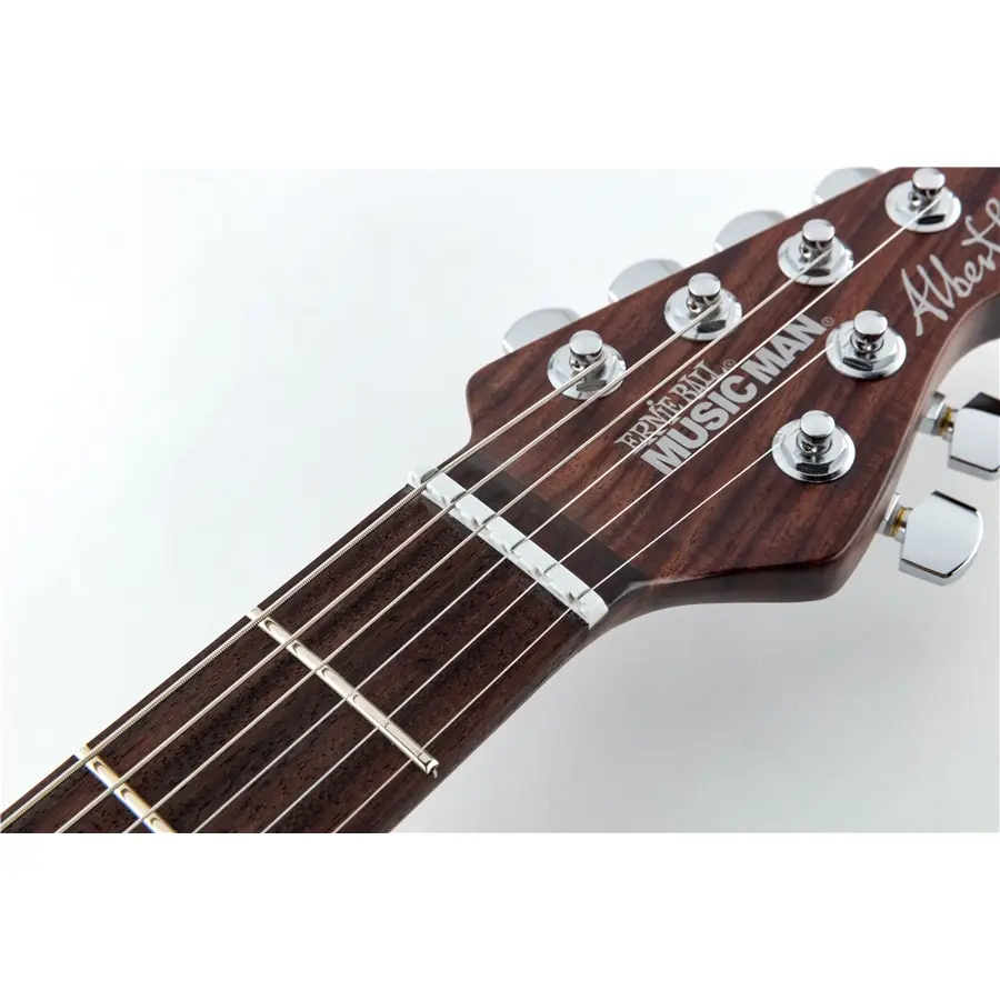 Albert Lee HH STD Charcoal Frost